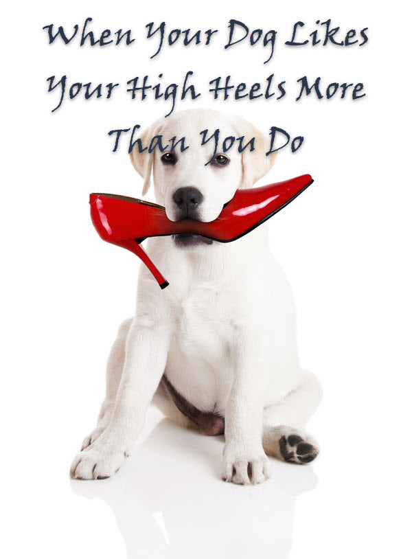 High Heel Memes